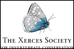 Support our July nonprofits - The MOON magazine