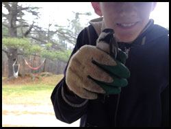 David W. Ricker | Portrait of Dylan, Age 10 - The MOON magazine