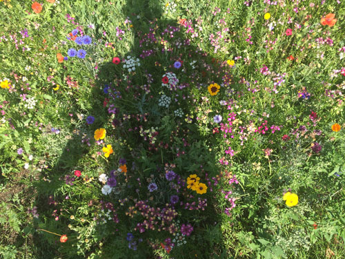 Simon Read | Primed - The MOON magazine